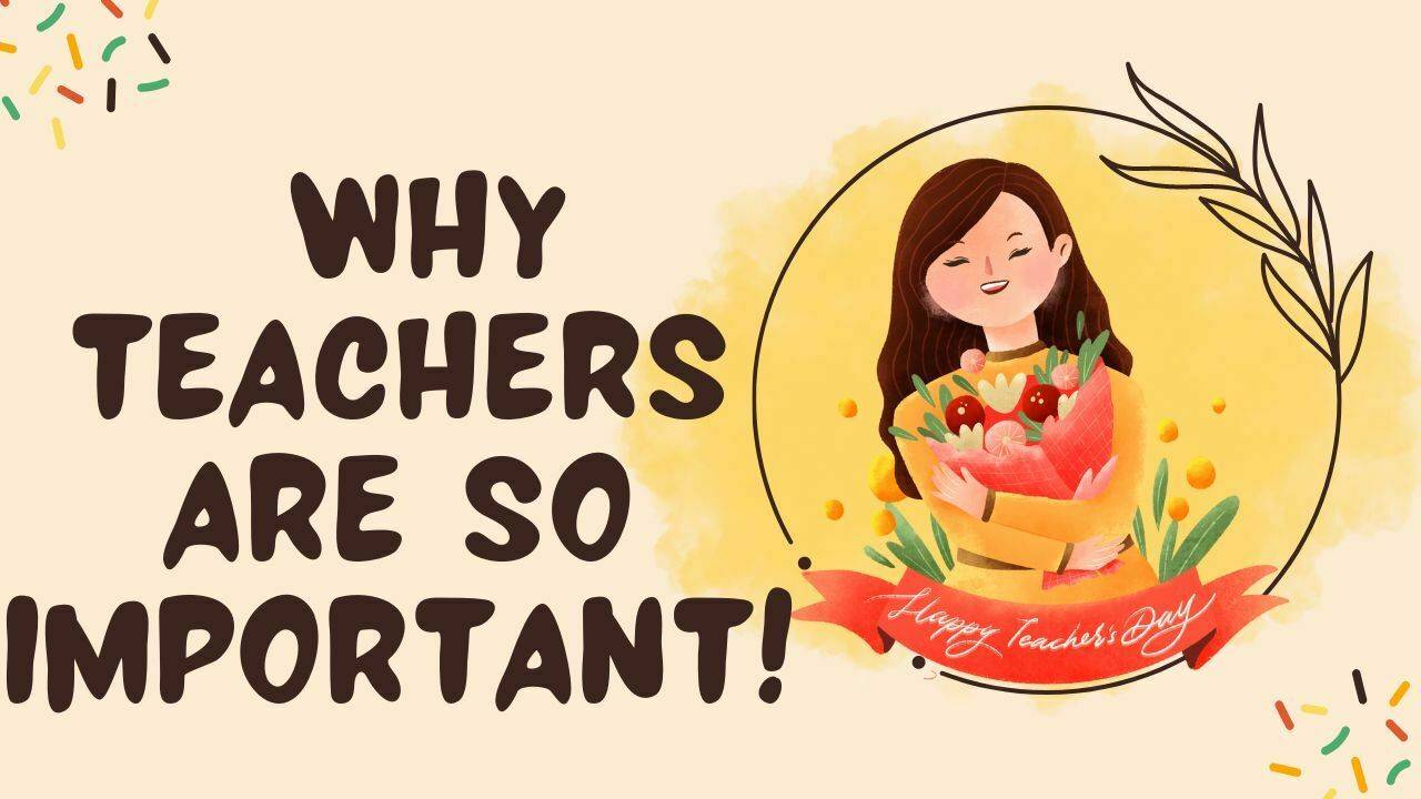 Why I Believe Teachers Are So Important Teacher Catalina
