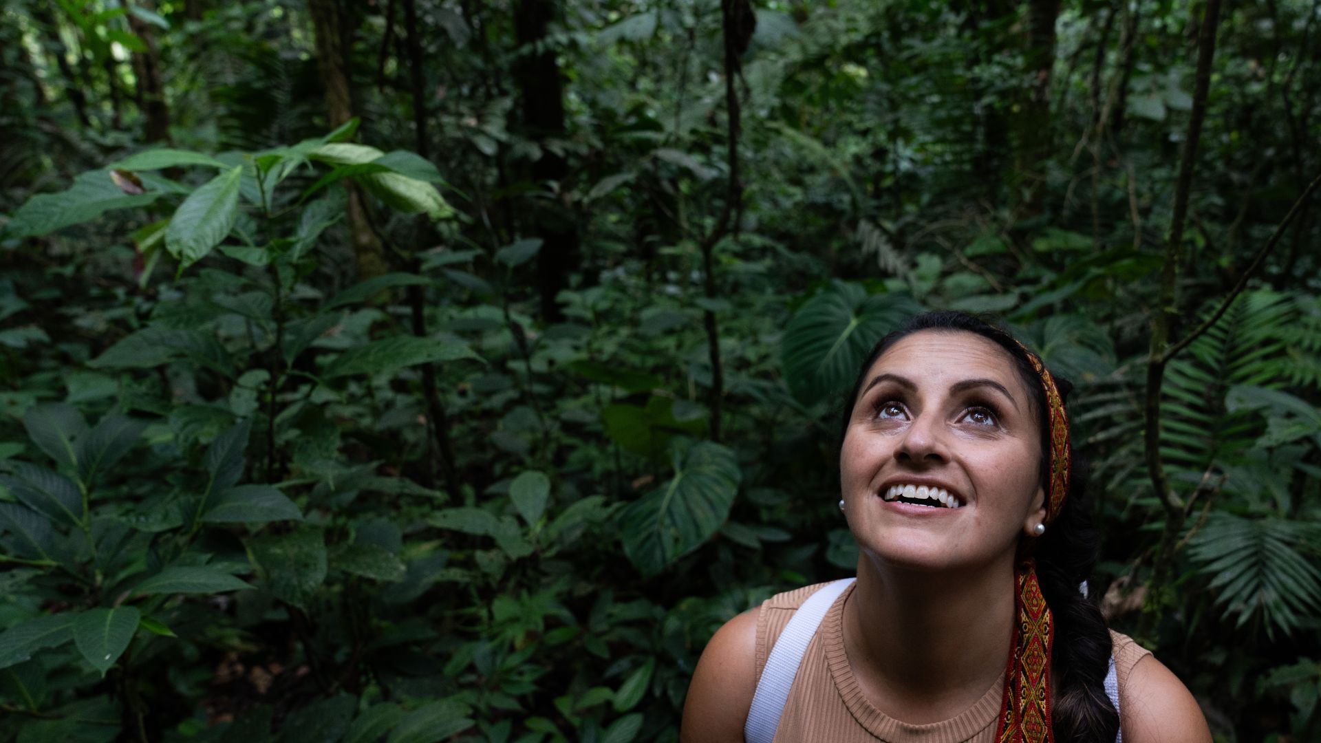 Journey into the Heart of the Amazon: What to Expect in Ecuador ...