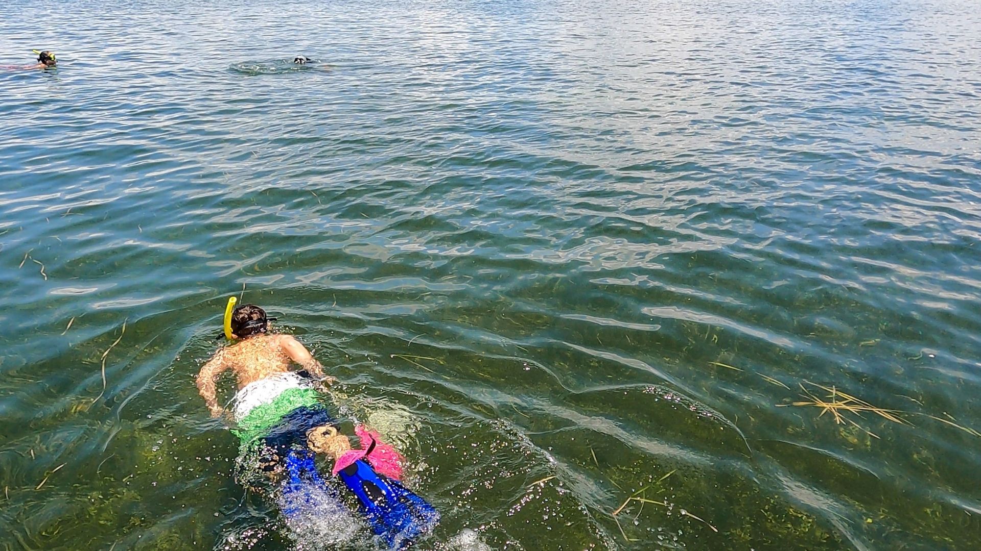 Crystal River: A Winter and Summer Wonderland for Manatees and Humans ...